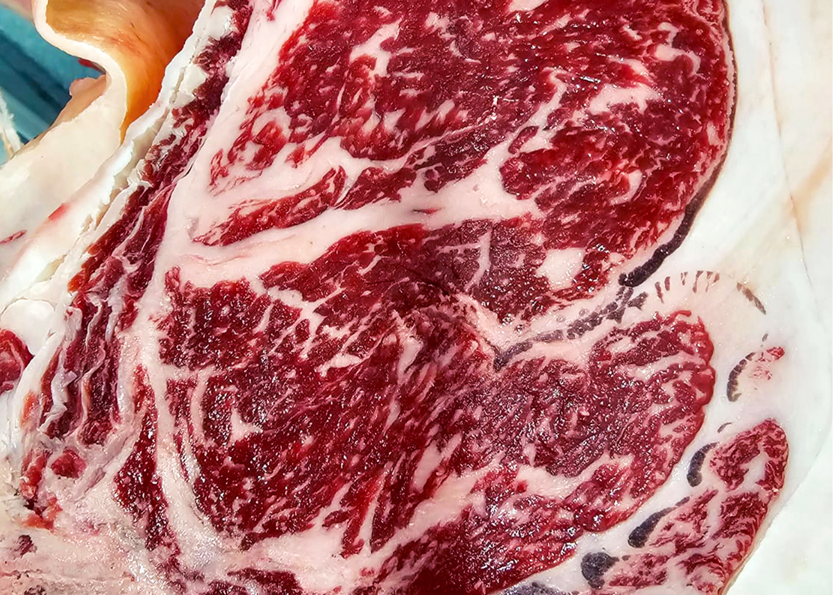 The Science Behind Wagyu Marbling: Why Fat Equals Flavor – Plum Creek Wagyu
